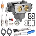 Amazon.com: TEMSONE 796227 Carburetor with Gasket Compatible with ...