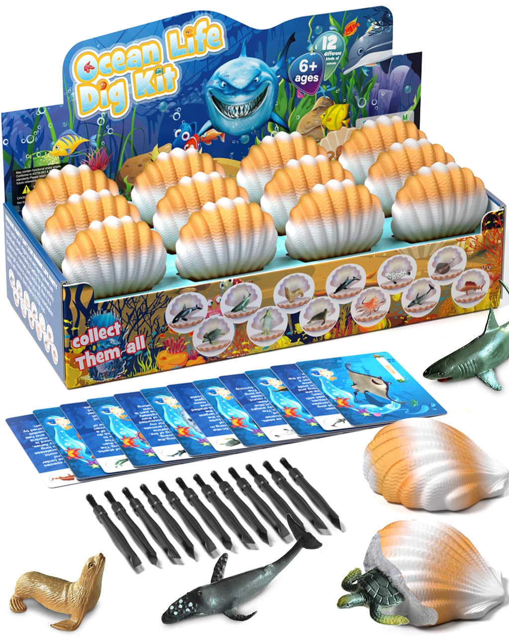 EARTH'SCODE Ocean Animals Dig Kit, Seashell Excavation Dig Bricks ...