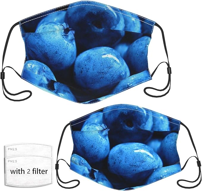 Awesome Fruit Blueberry Face Mask with 2 Pcs Filters, Reusable and ...