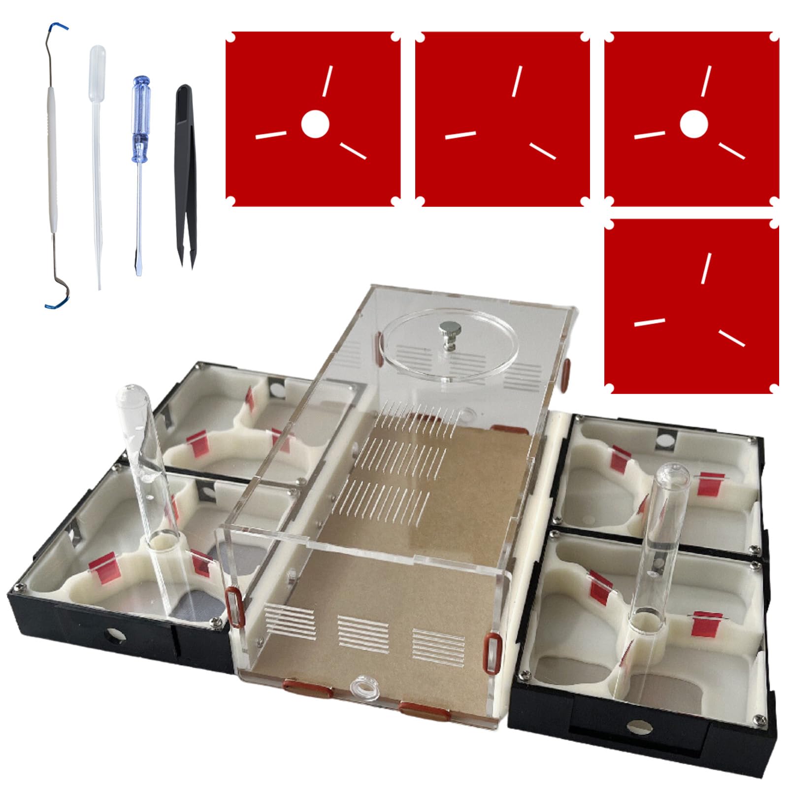 Mua Ant Farm Nest Science DIY Terrarium Kit Care for Live Ants Ant ...