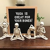 Amazon.com : Zeckos 4 Pc. Bone Stretchers Skeletons in Yoga Poses ...