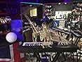 Amazon.com: Crazy Bonez Skeleton Gecko : Toys & Games