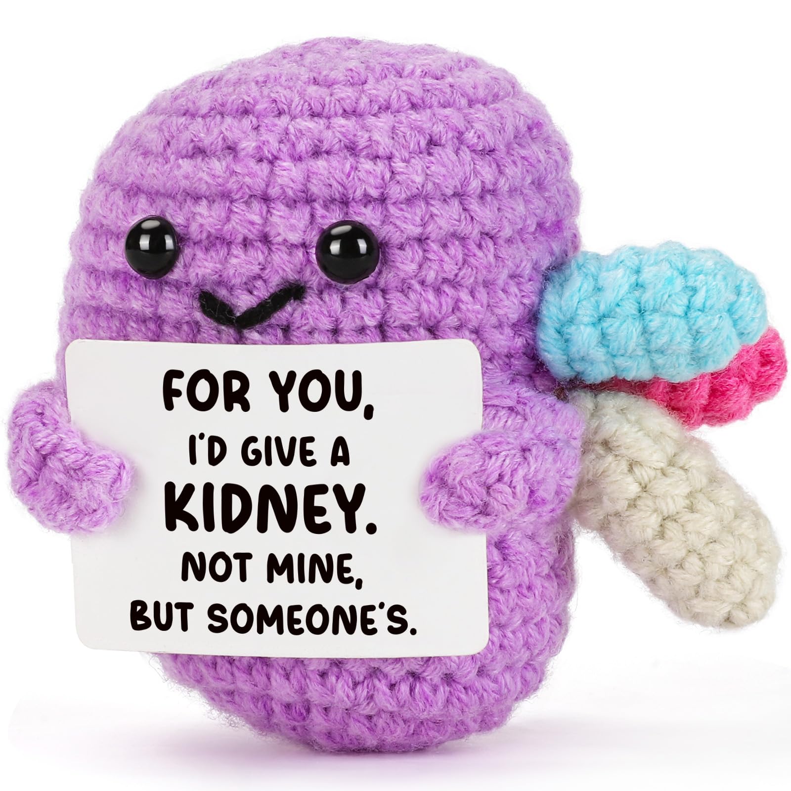 Funny Friendship Gift – Purple Crochet Kidney Plush with “I’d Give a ...