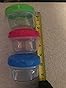 Amazon.com: Sistema To Go Collection Mini Bites Small Food Storage ...