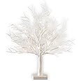 Amazon.com: Collections Etc Lighted LED Frosted White Tabletop Tree ...