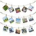 Amazon.com: Photo Hanging Display with 50 Photo Clips, String Hanging ...