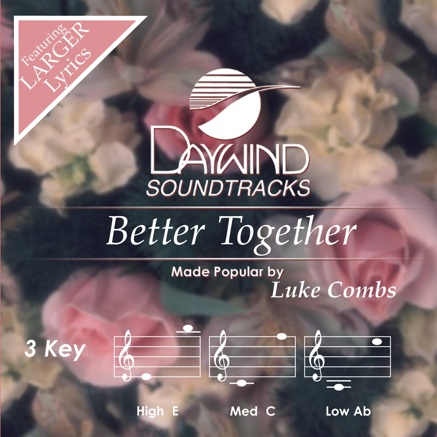 Luke Combs - Better Together [Accompaniment/Performance Track] - Amazon ...