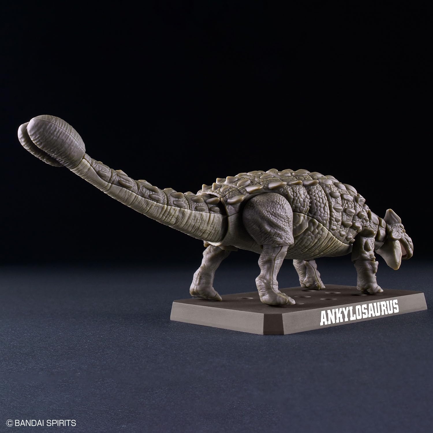 Mua Bandai Spirits Planosaurus Ankylosaurus Color-coded Plastic Model ...