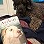 Arthur: The dog who crossed the jungle to find a home: Amazon.co.uk ...