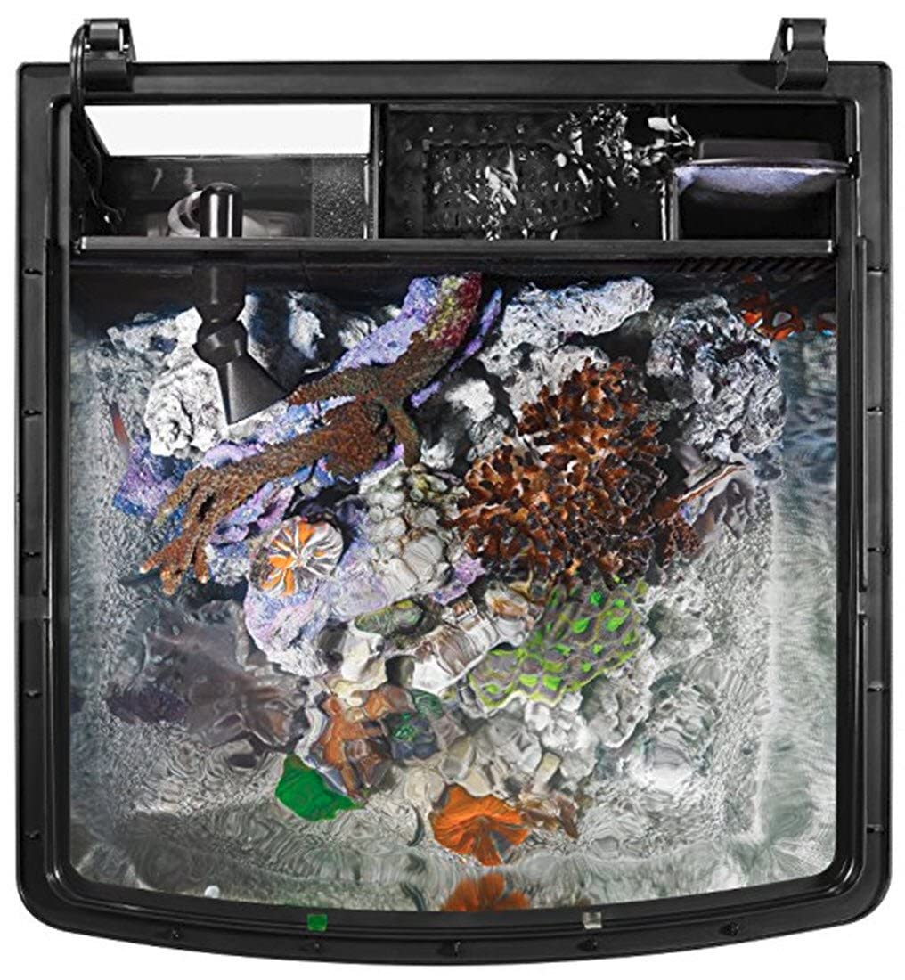 Mua Biocube LED Tanks and Combo Kits (32 Gallon Tank/Stand Kit) trên ...