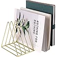 Amazon.com: PENGKE File Organizer Triangle Iron Desktop Storage Book ...