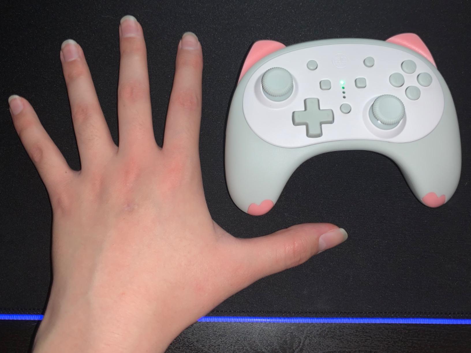 $8/mo - Finance IINE Cat Controller for Nintendo Switch/Switch OLED ...