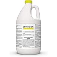 Amazon.com: Professional Disinfecting Mildew, Virus & Mold Killer ...