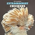 Extraordinary Chickens: Stephen Green-Armytage: 9780810990654: Amazon.com: Books