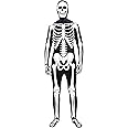 Amazon.com: Rubies Men's Skeleton Man Bone Skin Suit Costume for Themed ...