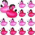 Amazon.com: 12 Set Hot Pink Rubber Ducks Bulk Pink Bath Toys for Baby ...