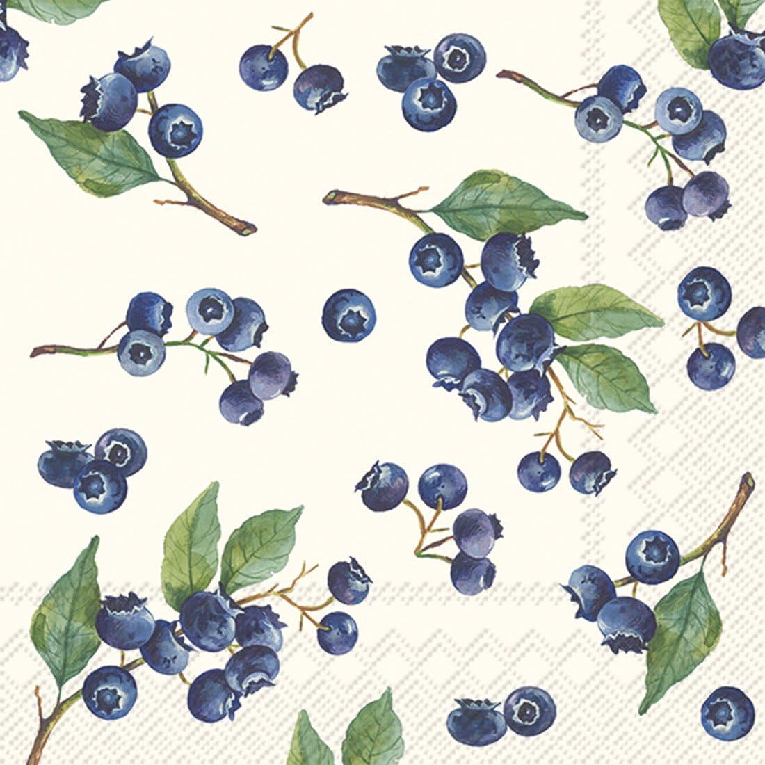 Amazon.com: Ideal Home Range 20 Count Blueberries Paper Cocktail ...