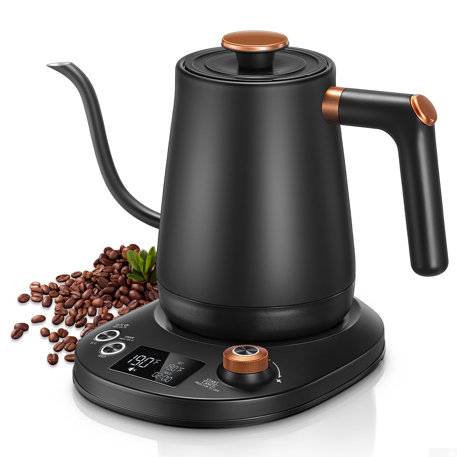 Electric Gooseneck Kettle, Tea Kettle ±1? Temperature Control, 0.8L ...