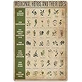 Amazon.com: Starotore Medicinal Herbs and Their Uses Posters Metal Tin ...