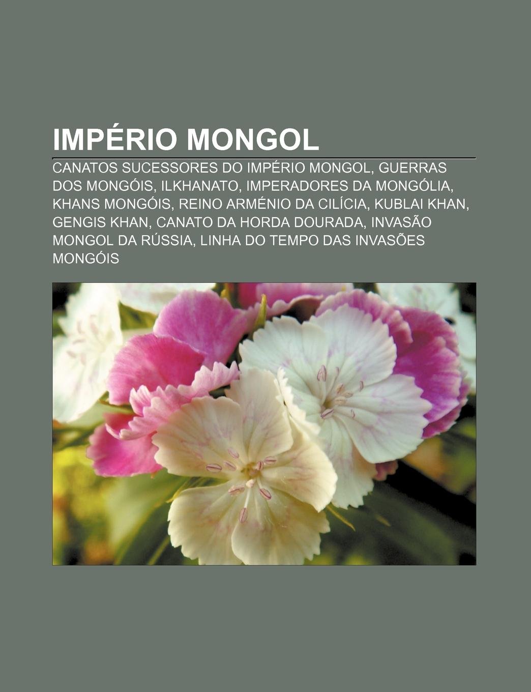 Imperio Mongol: Canatos Sucessores Do Imperio Mongol, Guerras DOS ...