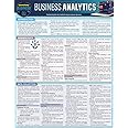 Business Analytics: A Quickstudy Laminated Reference Guide: Allison, Dr ...