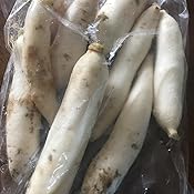 Fresh Radish - White, 500g Pack: Amazon.in: Grocery & Gourmet Foods