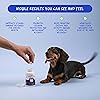 Turkey Tail Mushroom for Dogs - Mushroom Complex for Lumps and Bumps ...
