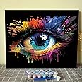 Amazon.com: Aihonmin Eye Paint by Numbers for Adults,DIY Acrylic ...