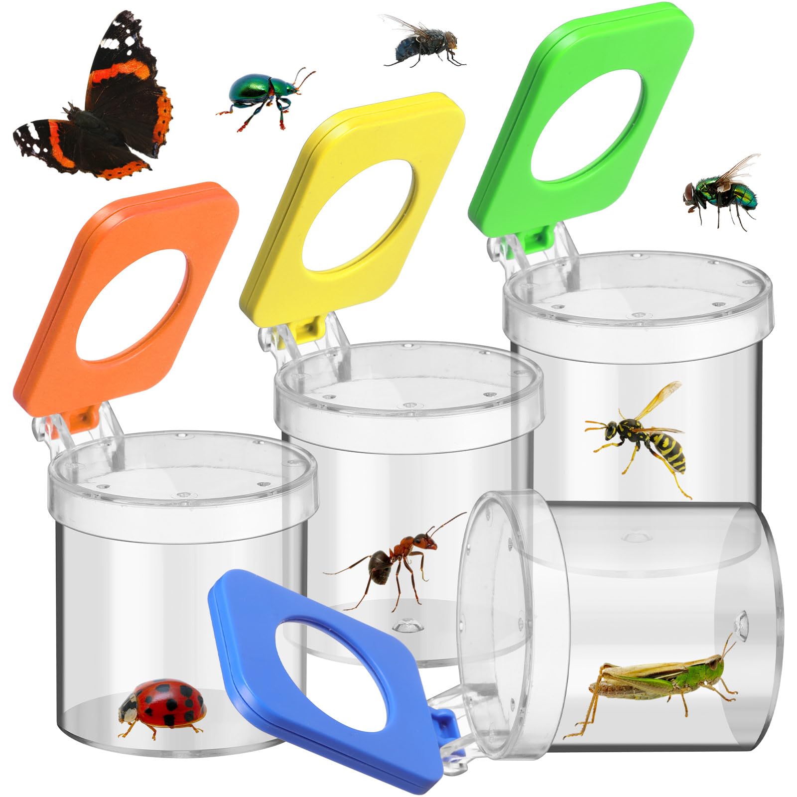 Halloscume 4 Pcs Insect Bug Viewer for Kids Magnifying Insect Box Bug Catcher Magnifier ...