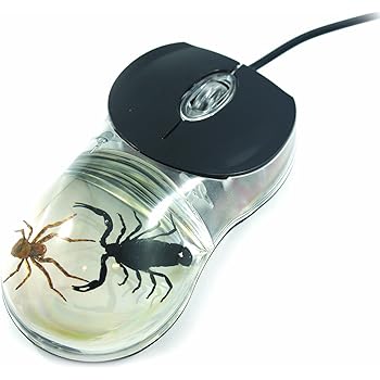 Amazon.com: Crab Computer Mouse with Clear Blue Background: Toys & Games