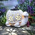 Amazon.com : Solar Outdoor Lights Turtle Garden Decor, Tortoise Outdoor ...