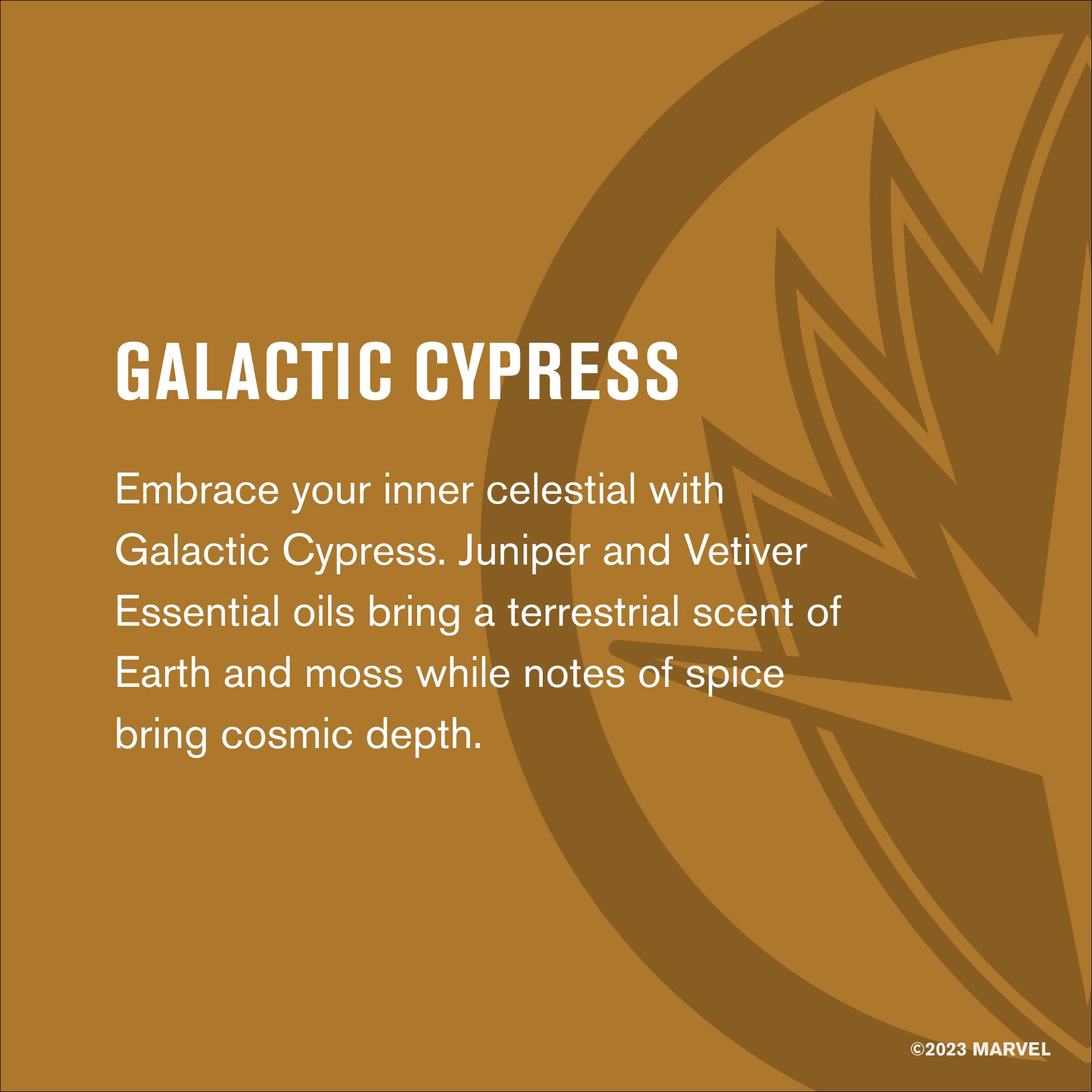 Mua Every Man Jack Guardians of the Galaxy Body Set - Perfect for Every ...