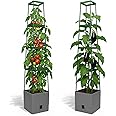 Amazon.com : Bio Green 2 Pack Garden Tomato Planter MAXITOM, with Plant ...