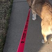 Amazon.com : Personalized Dog Leashes with Custom Hi-Def Text and Art ...