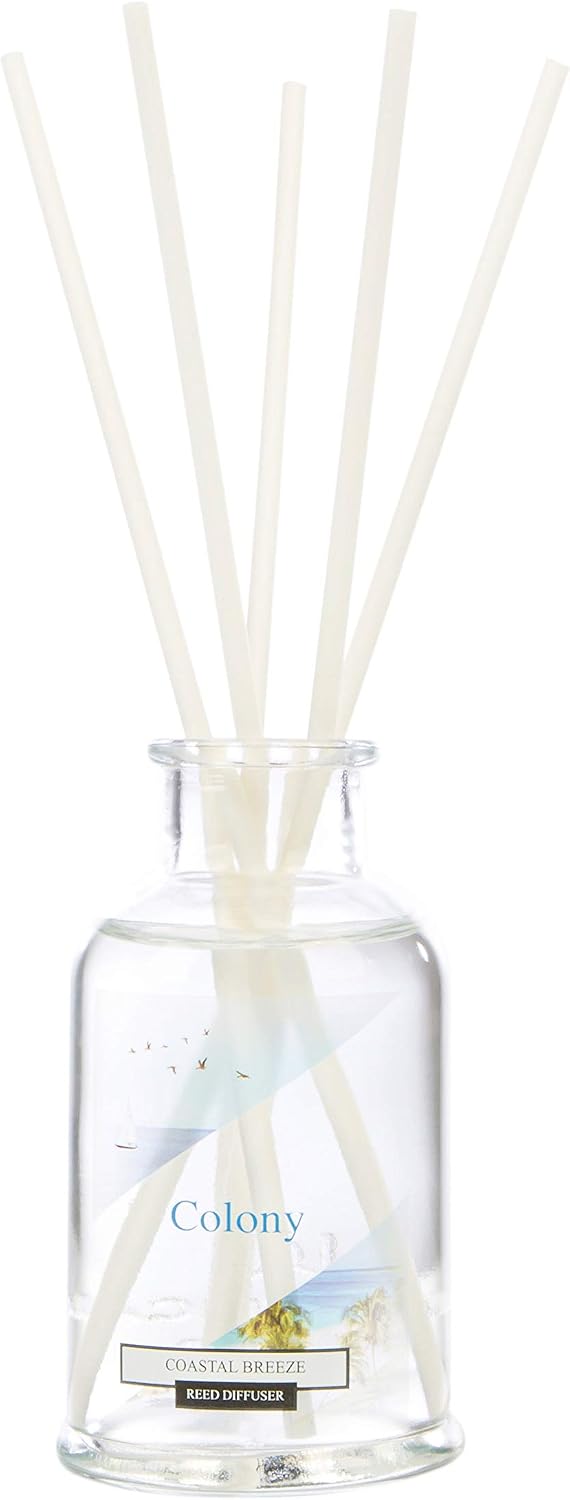 Reed Diffuser 100ml Coastal Breeze – BigaMart