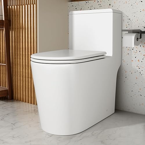 Dual Flush Elongated Standard One Piece Toilet with Comfortable Seat ...