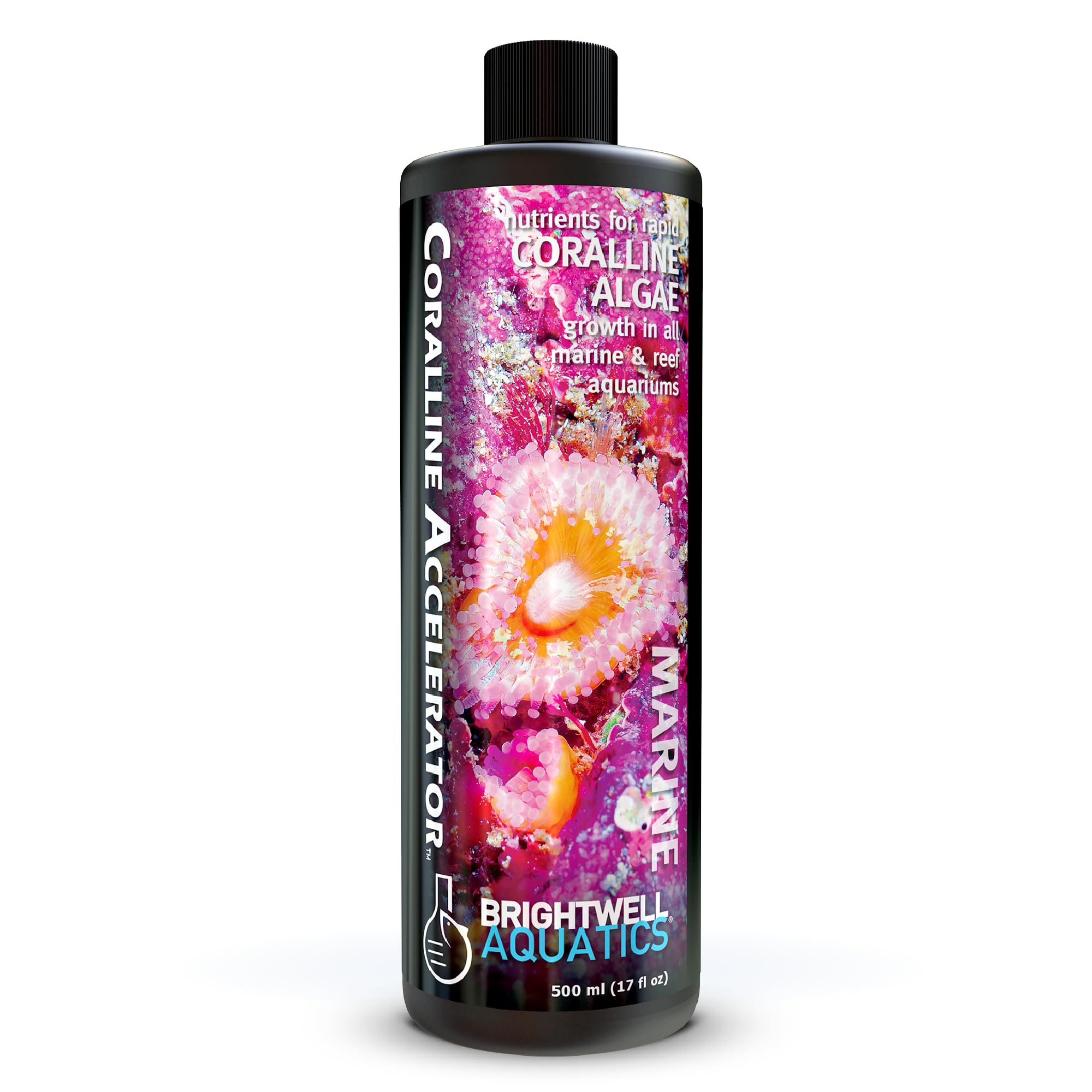 Mua Brightwell Aquatics Coralline Accelerator - Multi-Nutrient ...