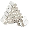 24 Pack Toilet Paper Rolls for Crafts, Empty White Cardboard Tubes for ...