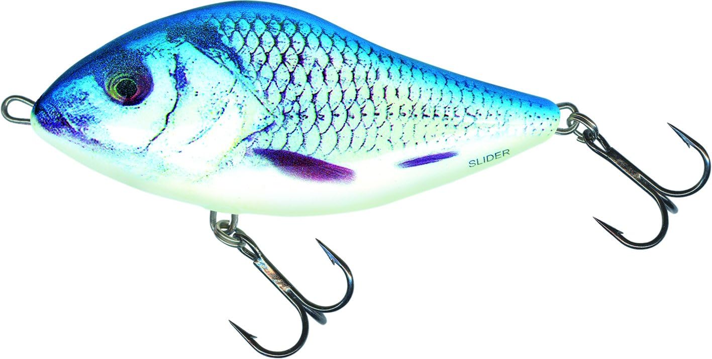 Salmo Slider Jerk Floating Fishing Lure - Real Shiner, 12 cm/60 g ...