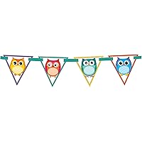 Amazon.com: Carson Dellosa Banner, Colorful Owls (102038) : Carson ...