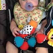 Amazon.com : Sassy Jitter Bugs Toy : Car Seat Toys : Baby
