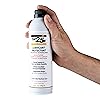 TW25B Synthetic Gun Lubricant Protectant 16.9 FL Ounce Aerosol Spray in ...