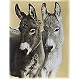 Amazon.com: Rstick Donkeys Blanket Cute Animals Fleece Blanket Soft ...