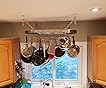 Amazon.com: Range Kleen CW6001 Stainless Steel Hanging Oval Pot Rack 1. ...