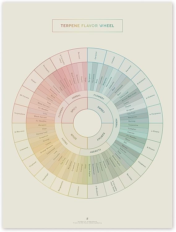 Amazon.com: Goldleaf Terpene Flavor Wheel Print, Infographic Poster ...