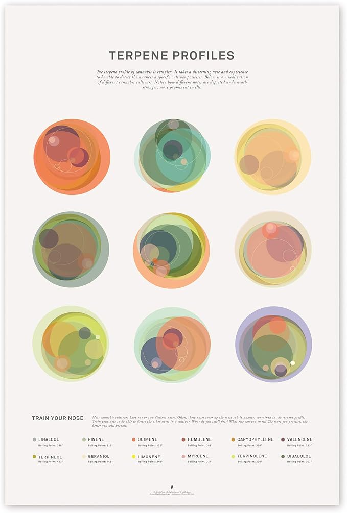 Amazon.com: Terpene Profile Illustration Poster: Illuminating the ...