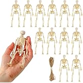 Amazon.com: GXXMEI 20PCS 6 Inch Mini Skeleton Figurines, Small ...