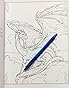 Amazon.com: The Official Eragon Coloring Book (The Inheritance Cycle ...