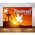 Amazon.com : BELECO 5x3ft Fabric Pentecost Backdrop Holy Spirit Dove ...