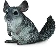 Amazon.de:CollectA Wildlife Langschwanz-Chinchilla Spielzeug Figur ...